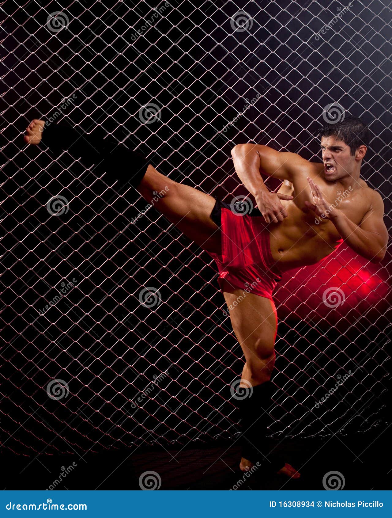 MMA stock photo. Image of muscle, martial, combat, fitness - 16308934