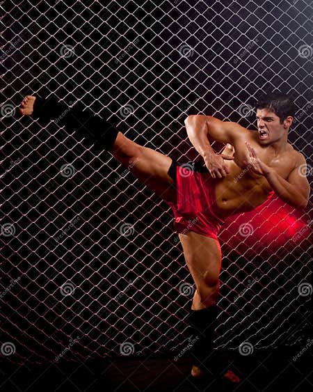 MMA stock photo. Image of muscle, martial, combat, fitness - 16308934
