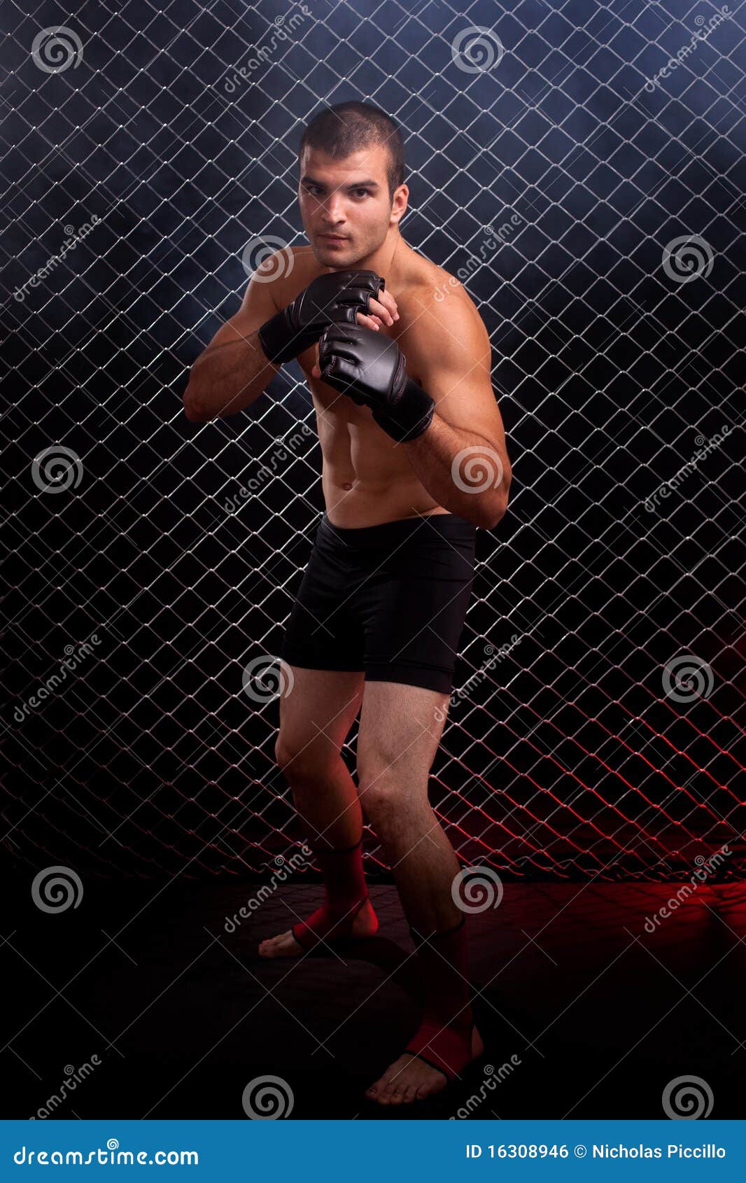 MMA stock photo. Image of boxer, mixed, fight, muscle - 16308946