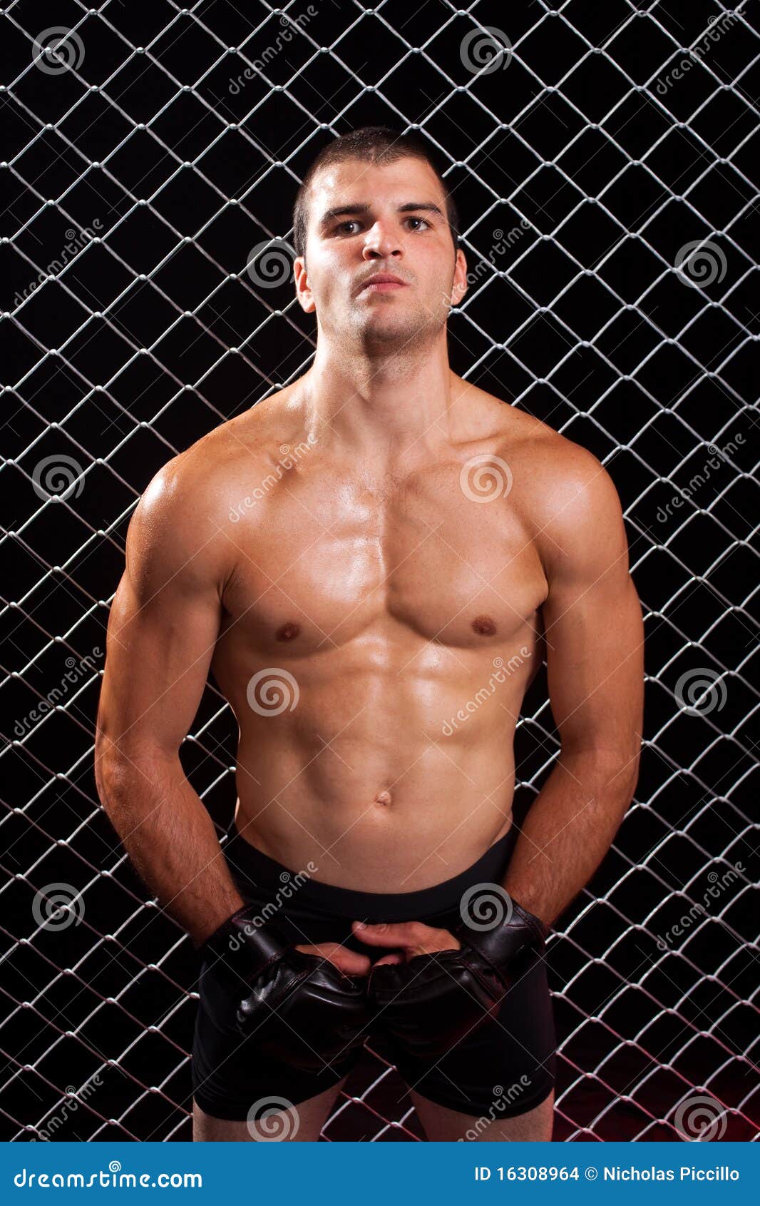 MMA stock photo. Image of boxing, male, competition, arts - 16308964