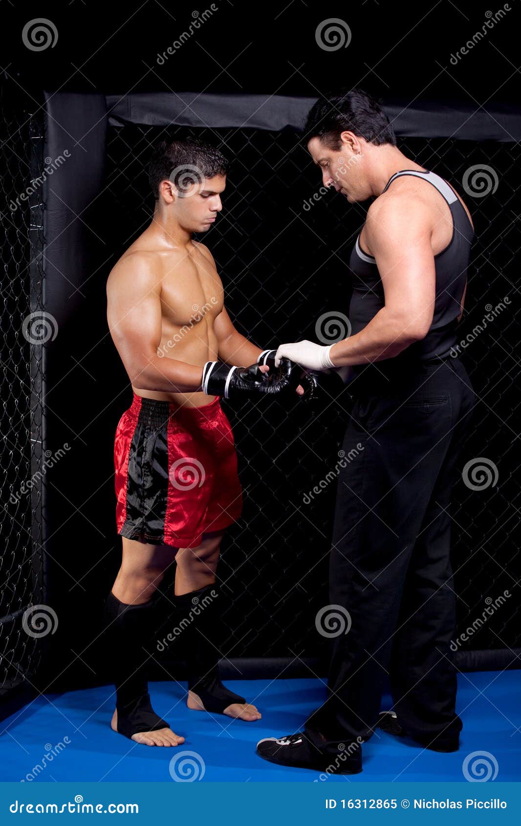 MMA image stock. Image du cage, musculaire, arbitre, muscle - 16312865