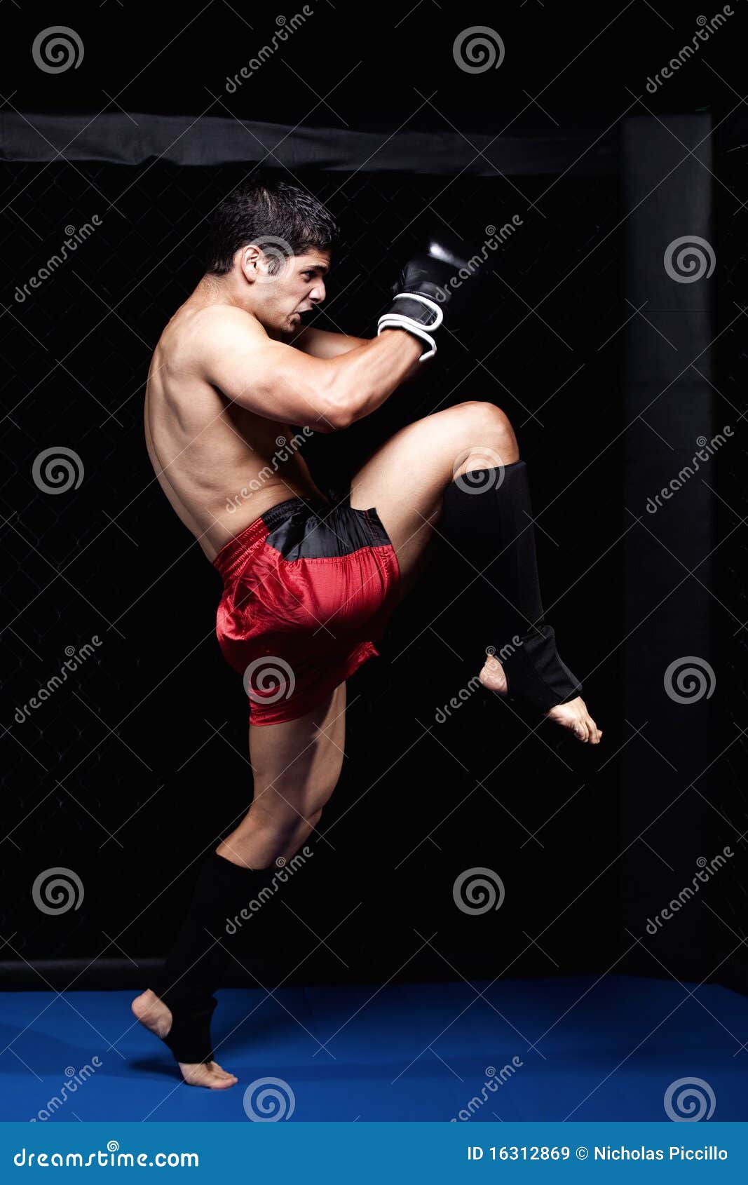MMA stock image. Image of artist, sports, fighting, competition - 16312869