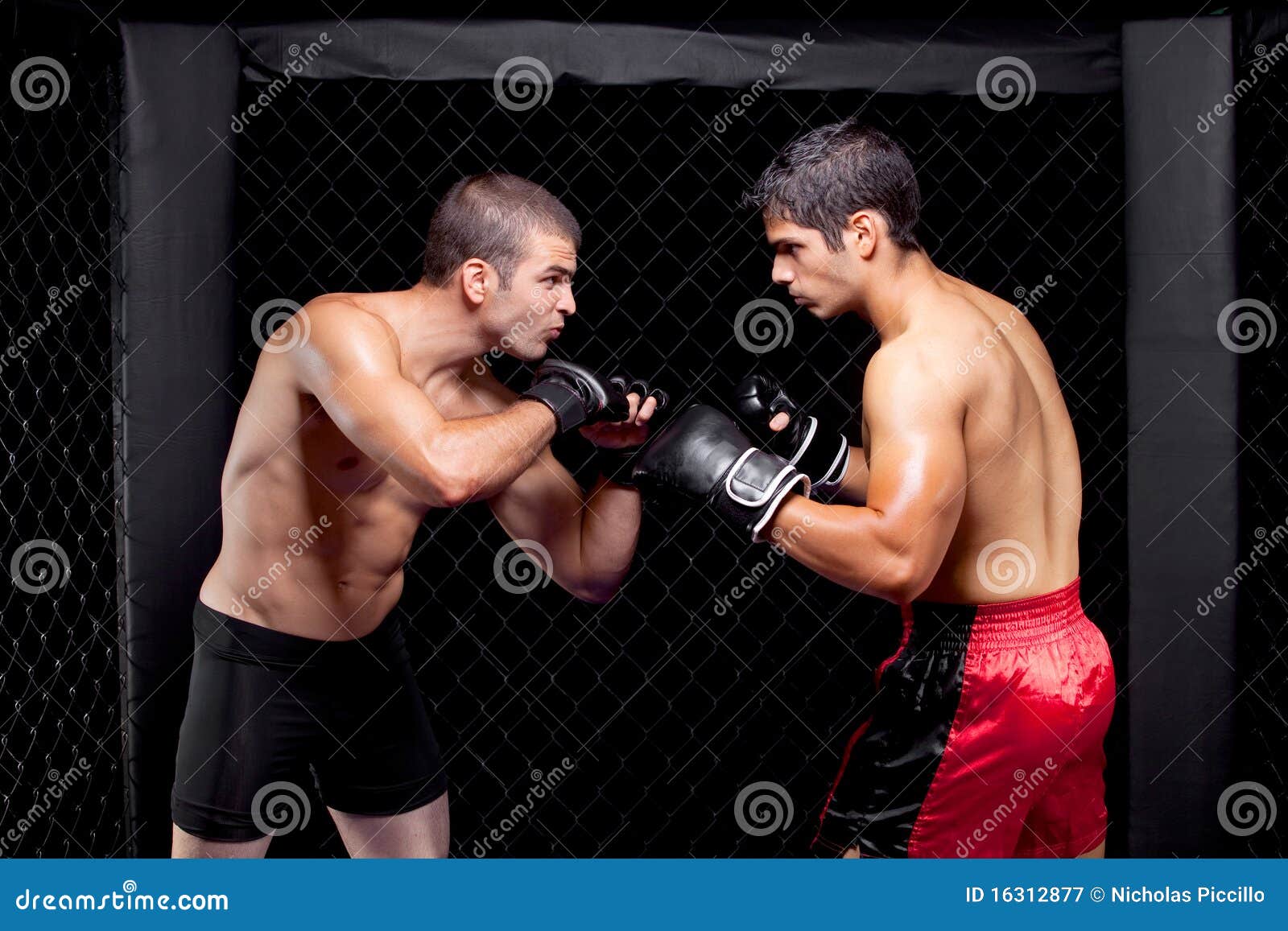 MMA stock image. Image of artist, boxing, martial, fight - 16312877