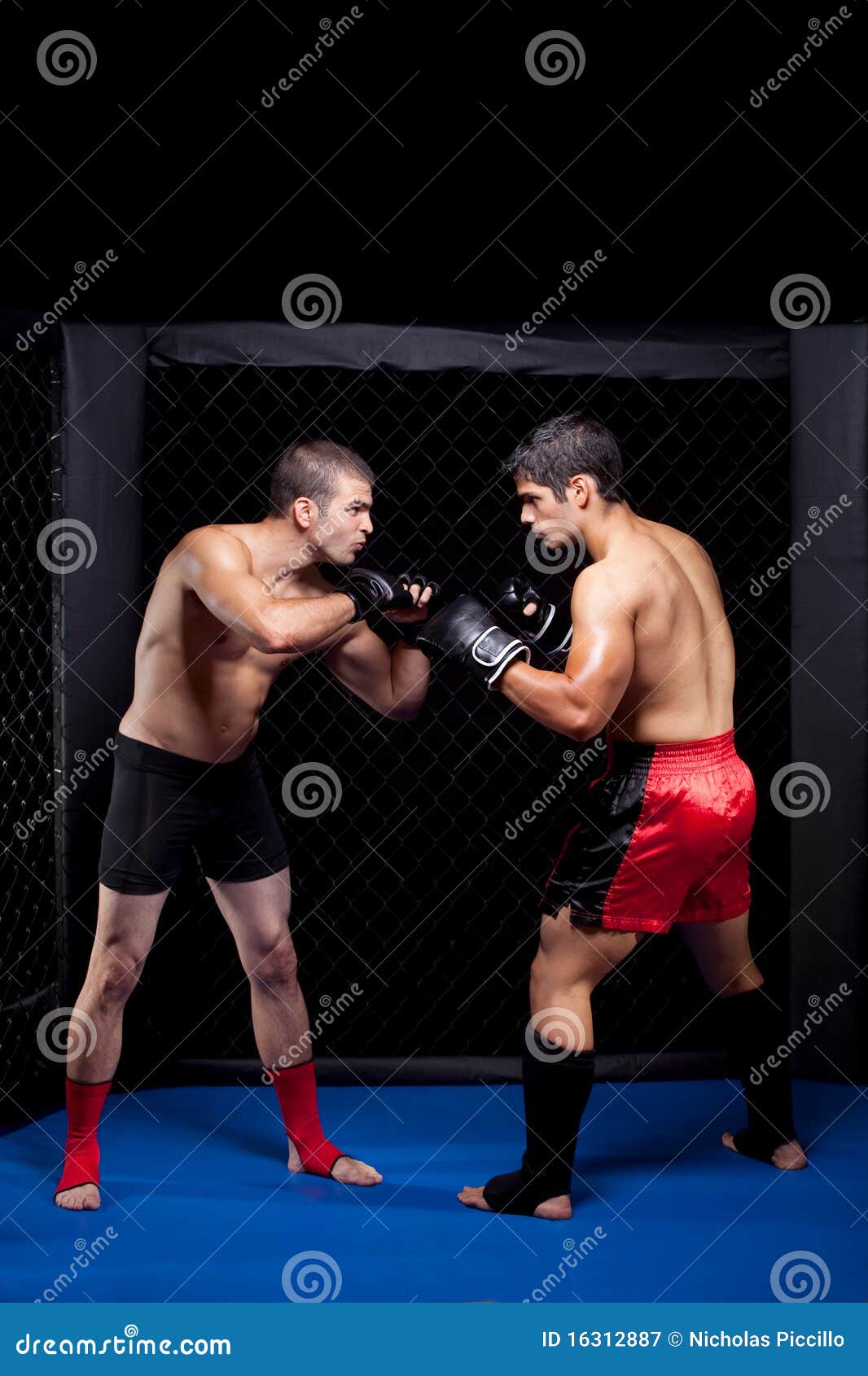 MMA stock image. Image of competitor, martial, sports - 16312887