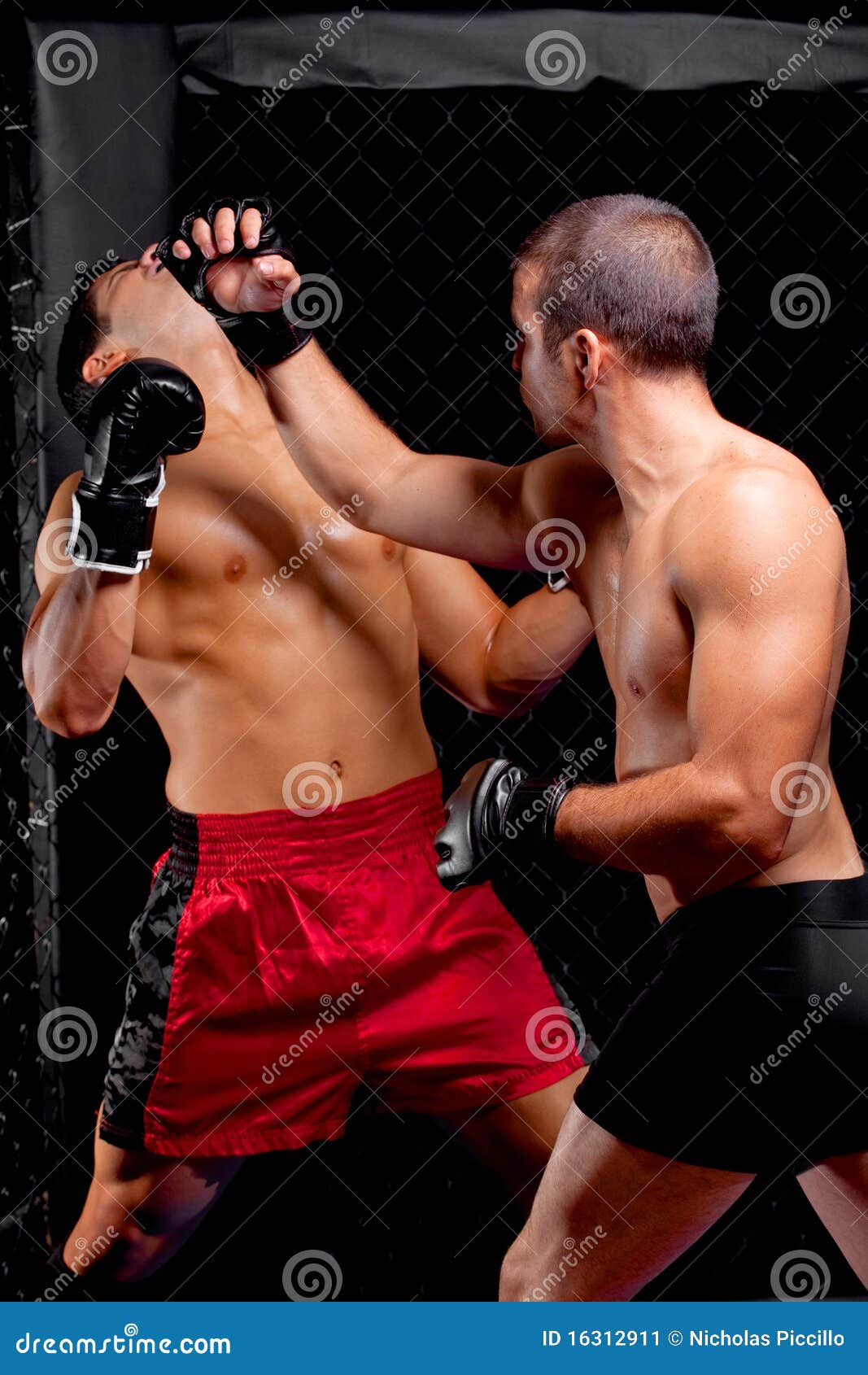 MMA stock image. Image of fight, artist, pain, sports - 16312911