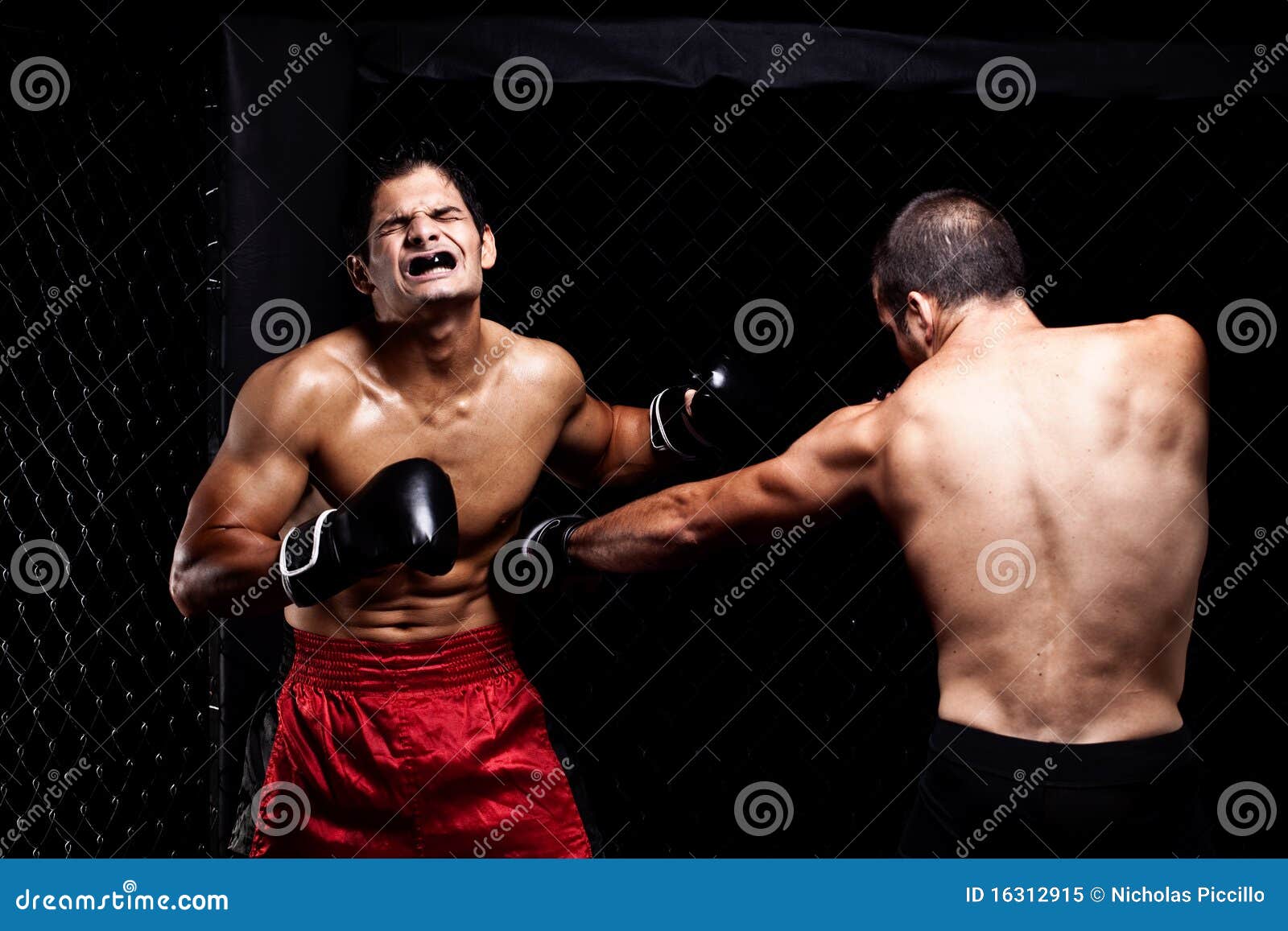 MMA stock image. Image of fighting, punch, athlete, arts - 16312915