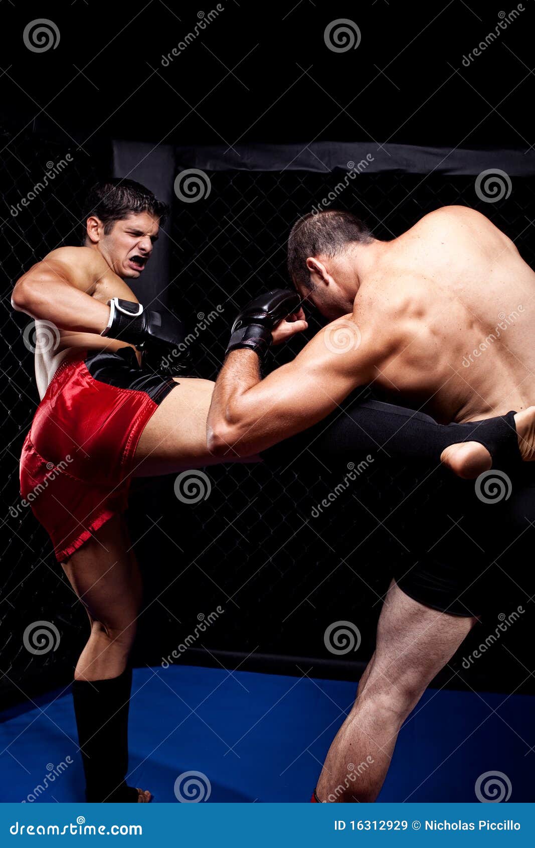 MMA stock image. Image of muscular, fighting, fighter - 16312929