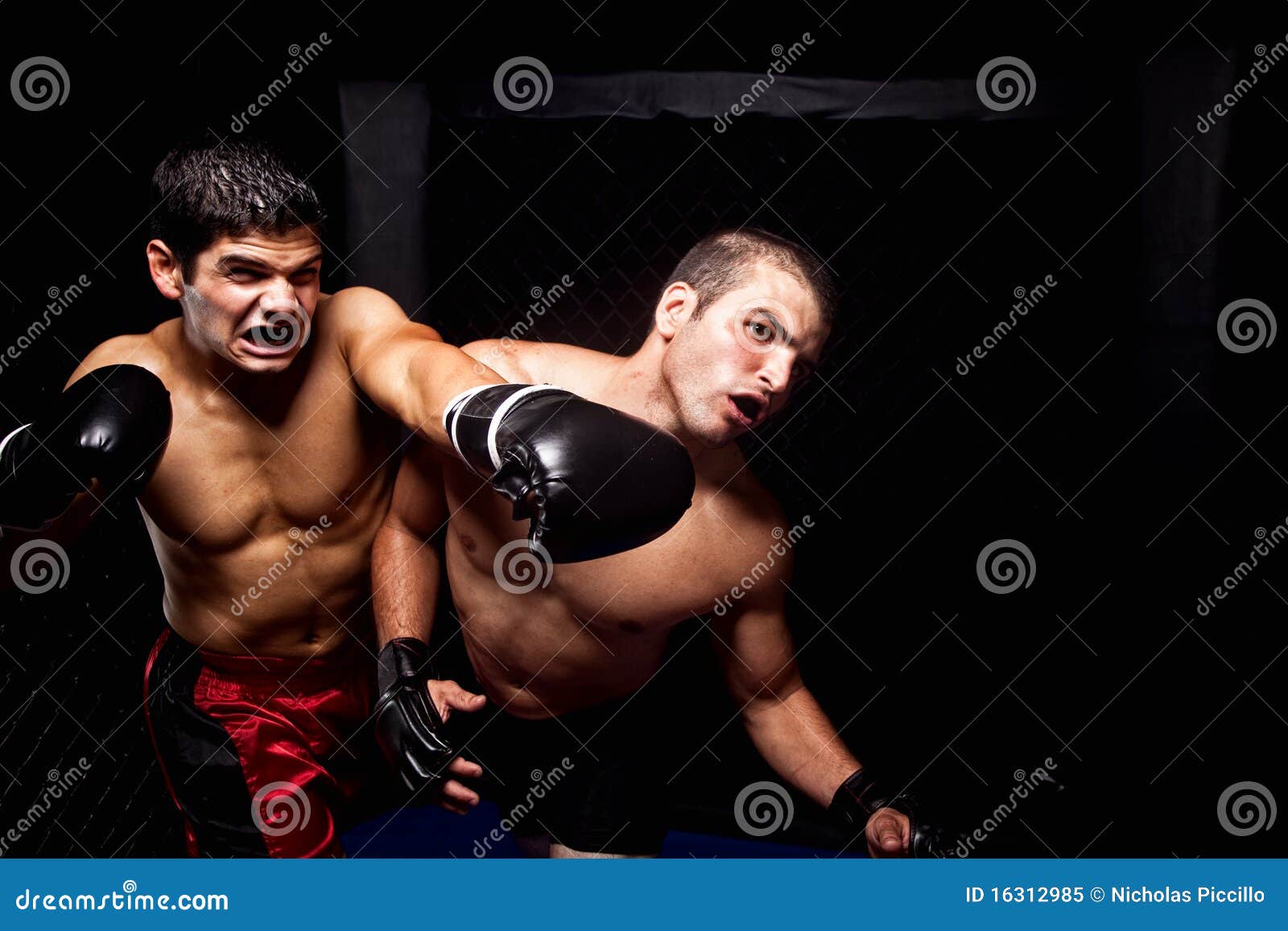 MMA stock image. Image of competitor, young, muscle, muscular - 16312985
