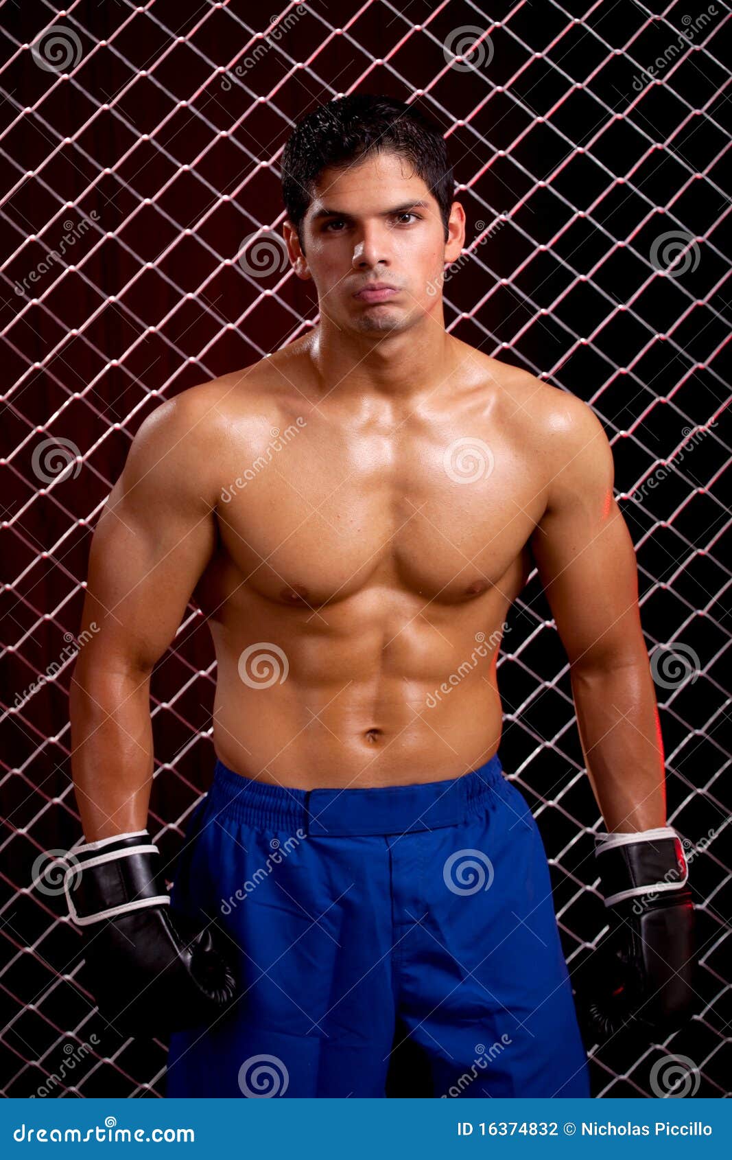 MMA stock photo. Image of athlete, fighter, eastern, male - 16374832