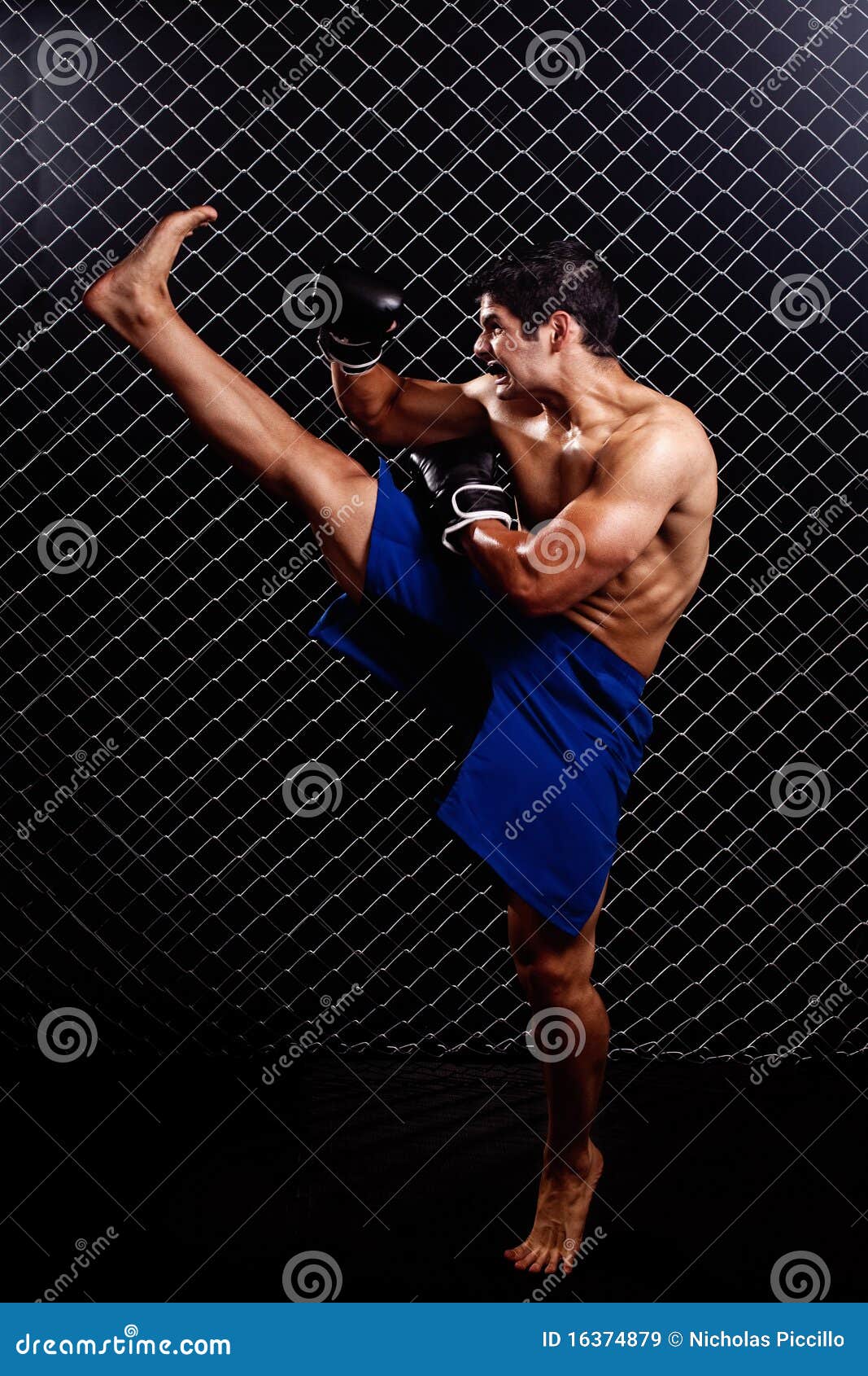 MMA stock image. Image of martial, adult, exercise, kicking - 16374879