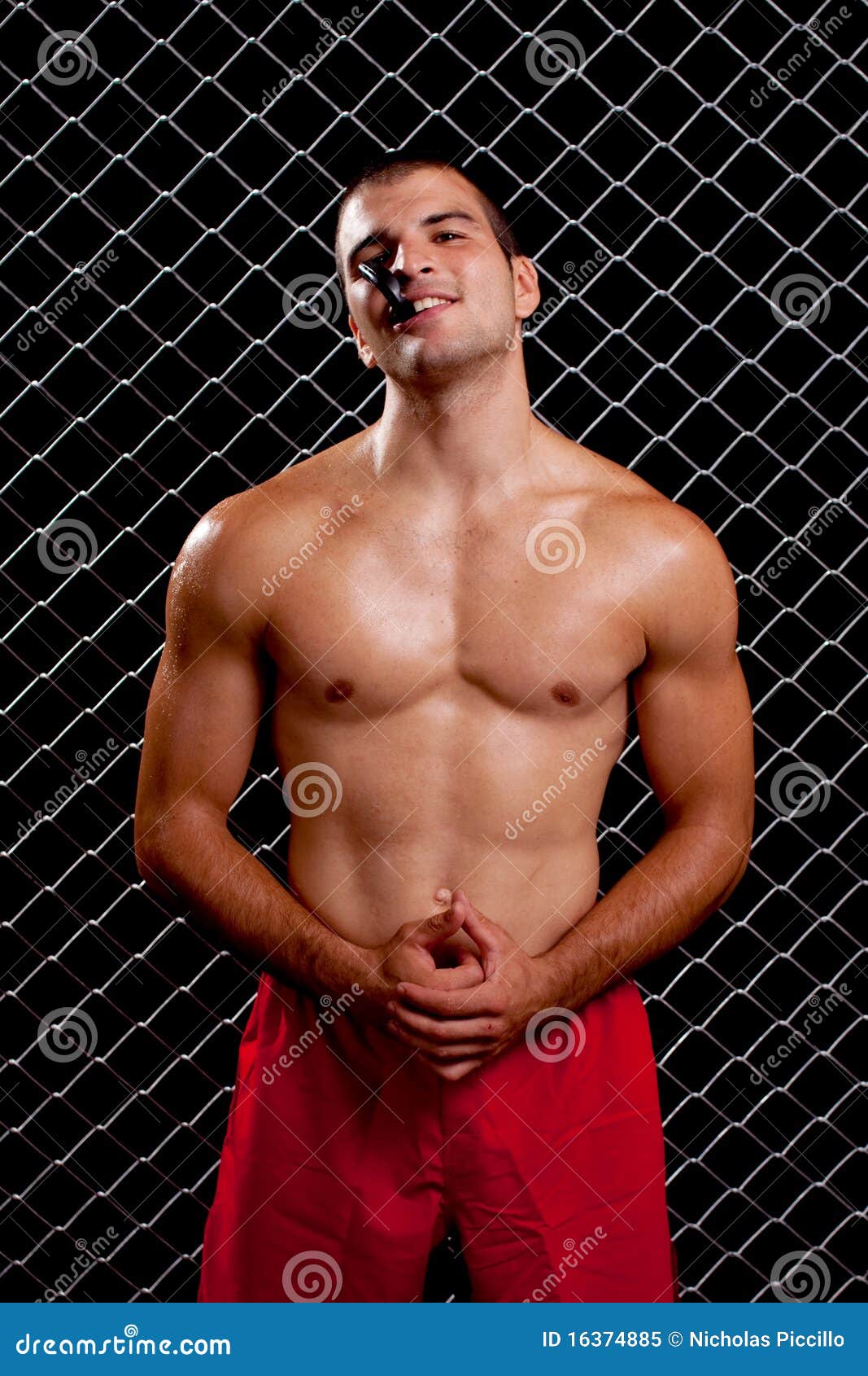 MMA stock image. Image of fight, muscular, exercise, male - 16374885