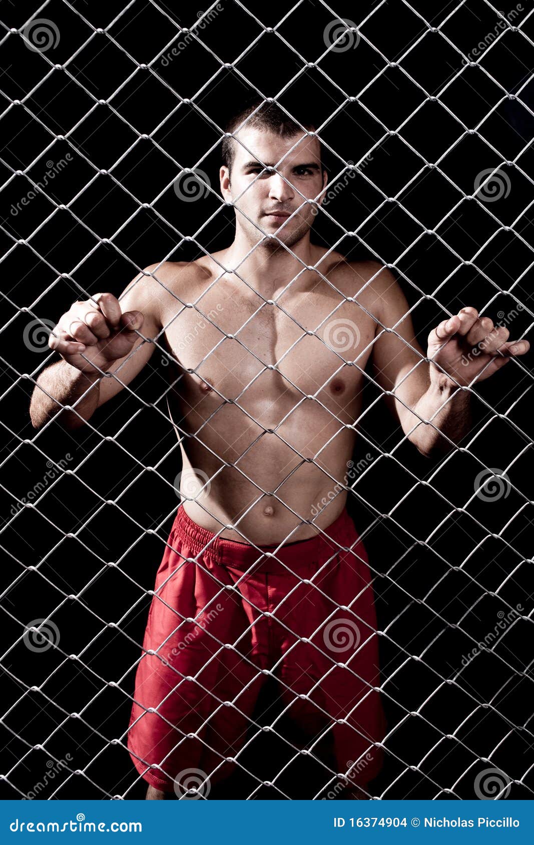 MMA stock photo. Image of combat, artist, boxing, person - 16374904