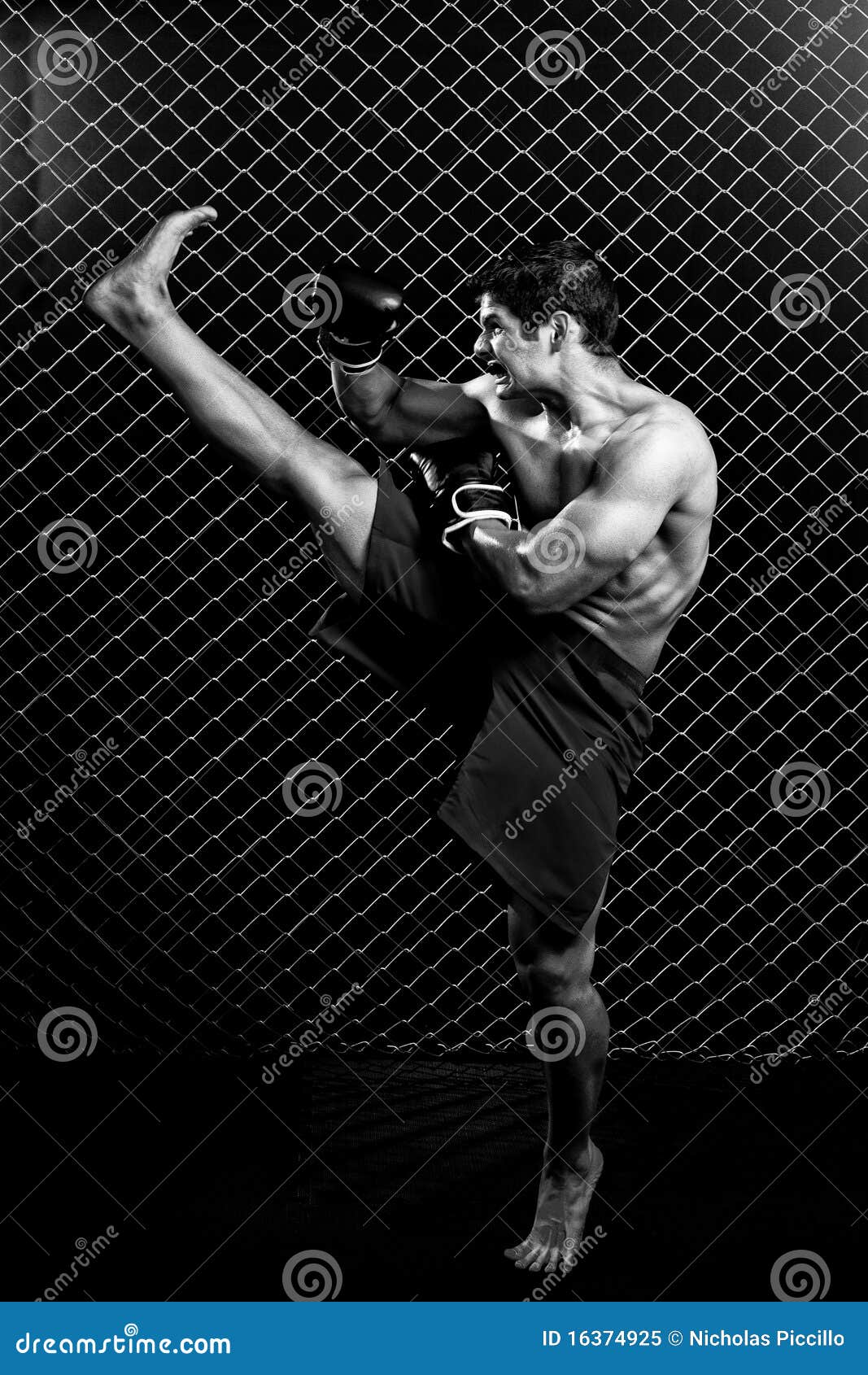 MMA stock image. Image of muscular, fight, fighter, martial - 16374925