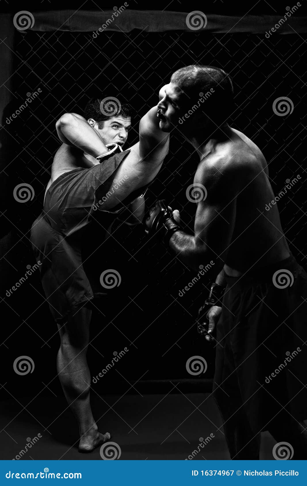MMA stock image. Image of muscular, athletic, greyscale - 16374967