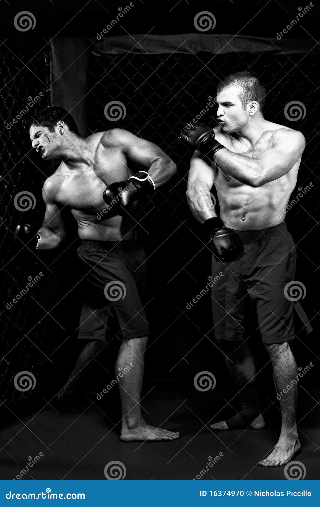 MMA stock photo. Image of grayscale, punching, fighter - 16374970