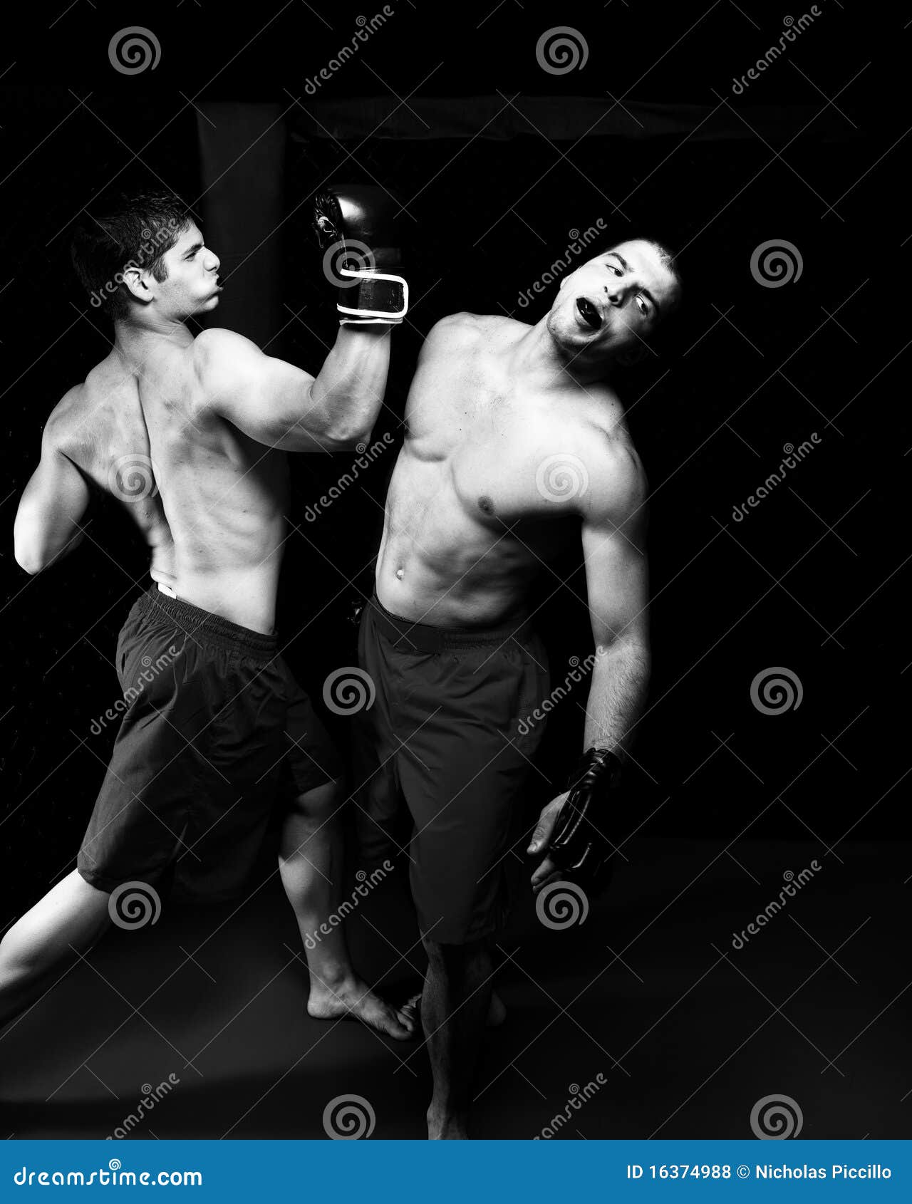 MMA stock photo. Image of competition, people, muscle - 16374988