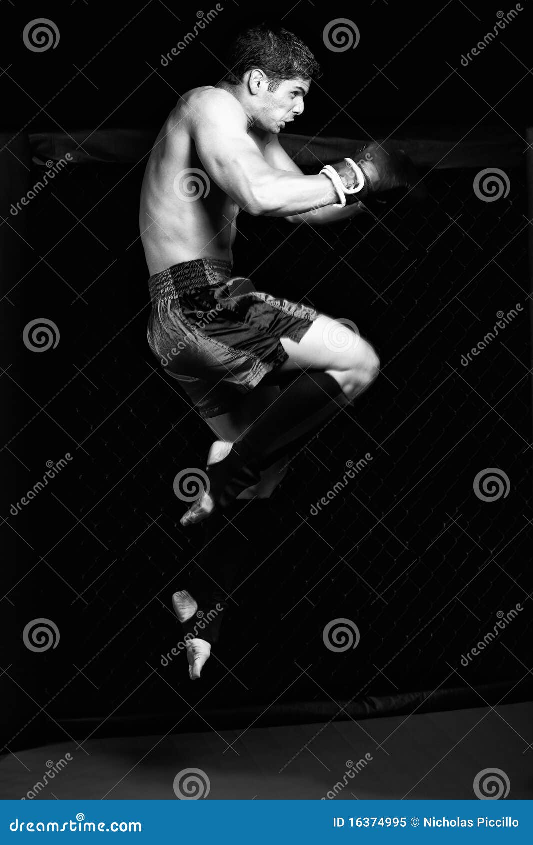 MMA stock image. Image of fighter, cage, competition - 16374995