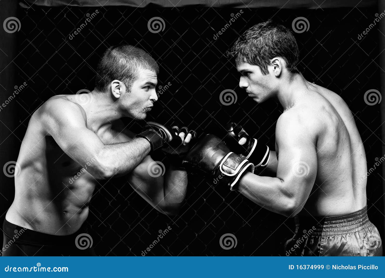 MMA stock image. Image of sports, young, combat, athletic - 16374999