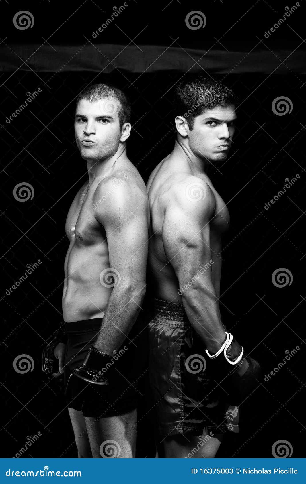 MMA stock image. Image of adult, fighting, fight, muscle - 16375003
