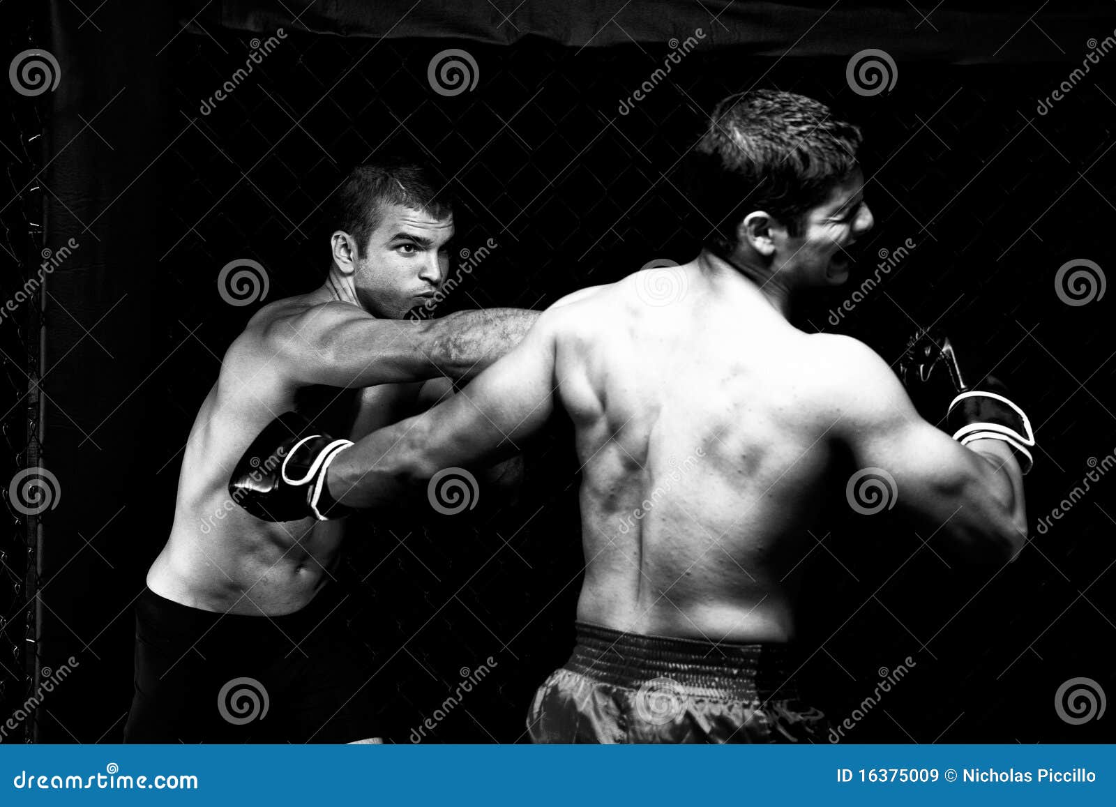 MMA stock image. Image of greyscale, arts, sport, sports - 16375009
