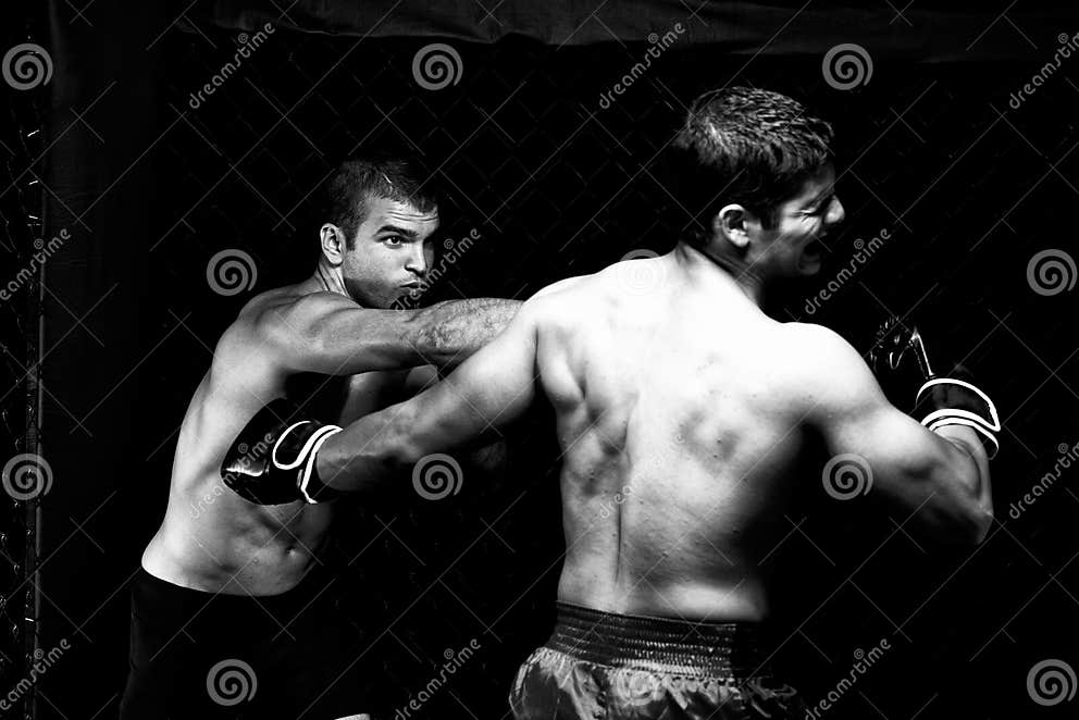 MMA stock image. Image of greyscale, arts, sport, sports - 16375009