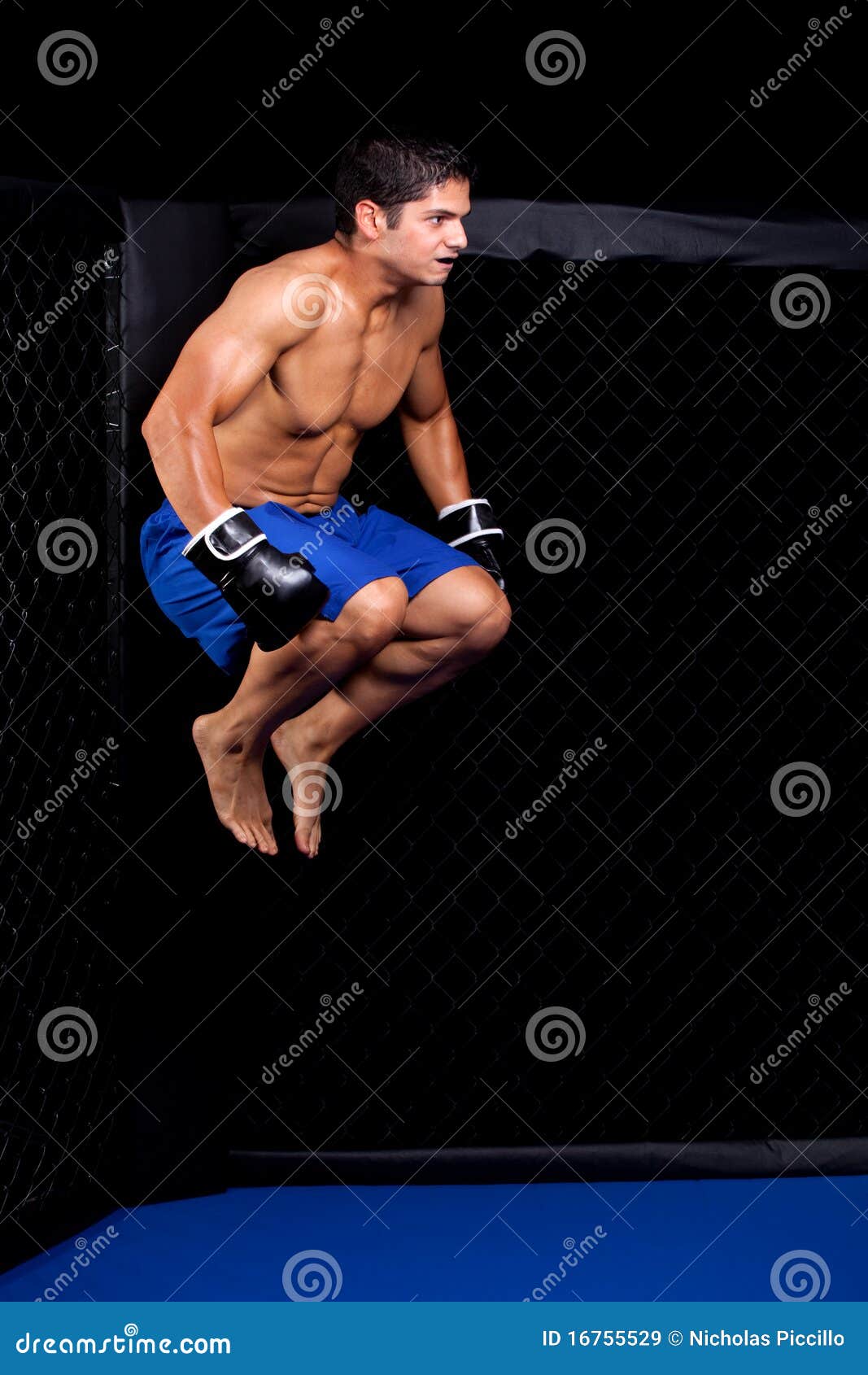 MMA stock image. Image of sports, athlete, artist, sport - 16755529