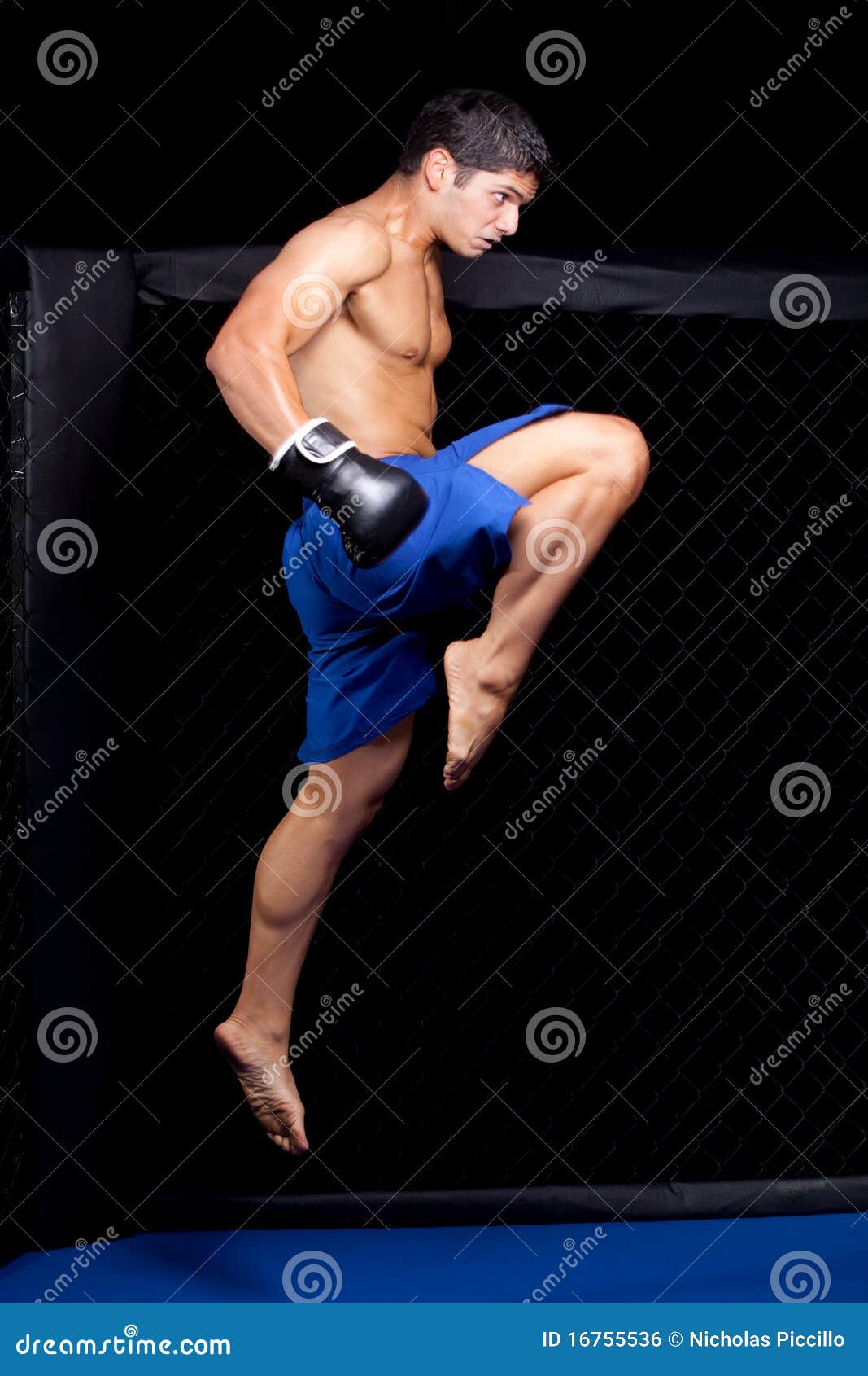 MMA stock photo. Image of adult, arts, muscular, fighting - 16755536