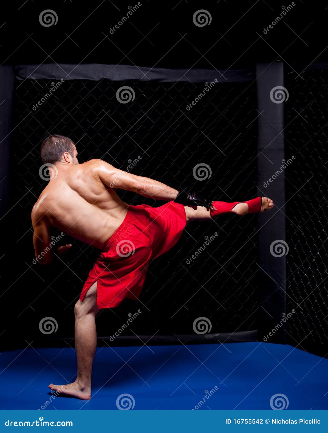 MMA stock photo. Image of cage, young, mixed, combat - 16755542