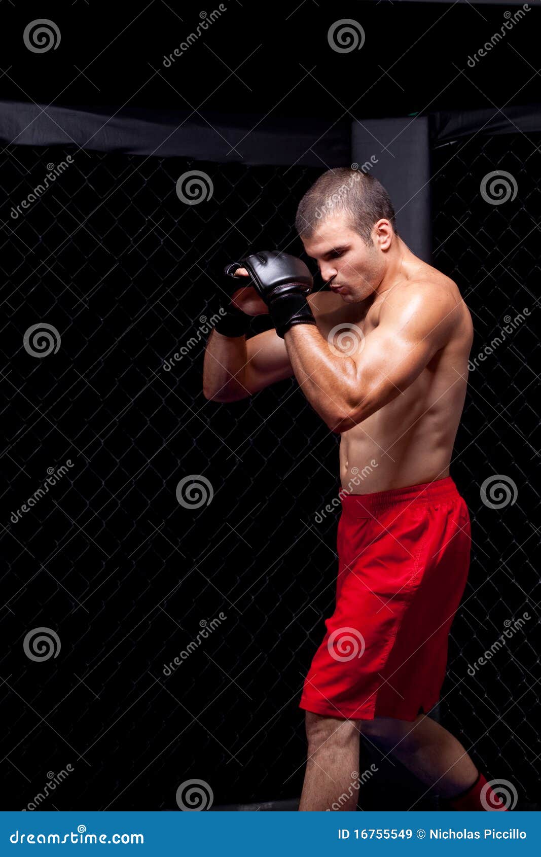 MMA stock image. Image of adult, person, muscle, muscular - 16755549