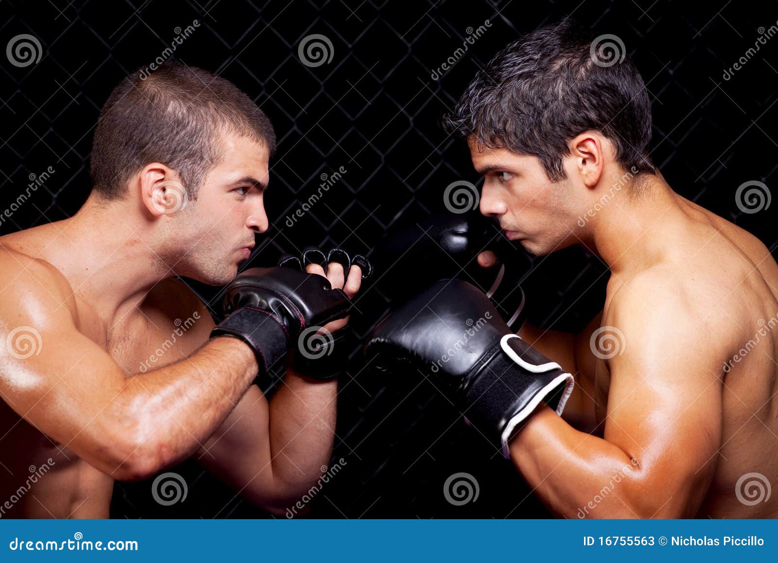 MMA stock image. Image of muscular, young, fighting, opponents - 16755563