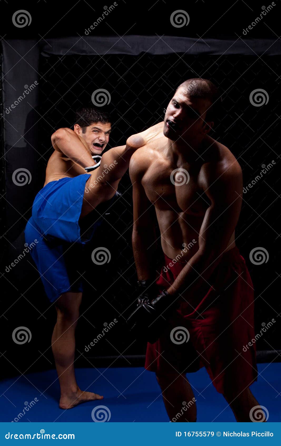 MMA stock image. Image of impact, muscular, male, fight - 16755579