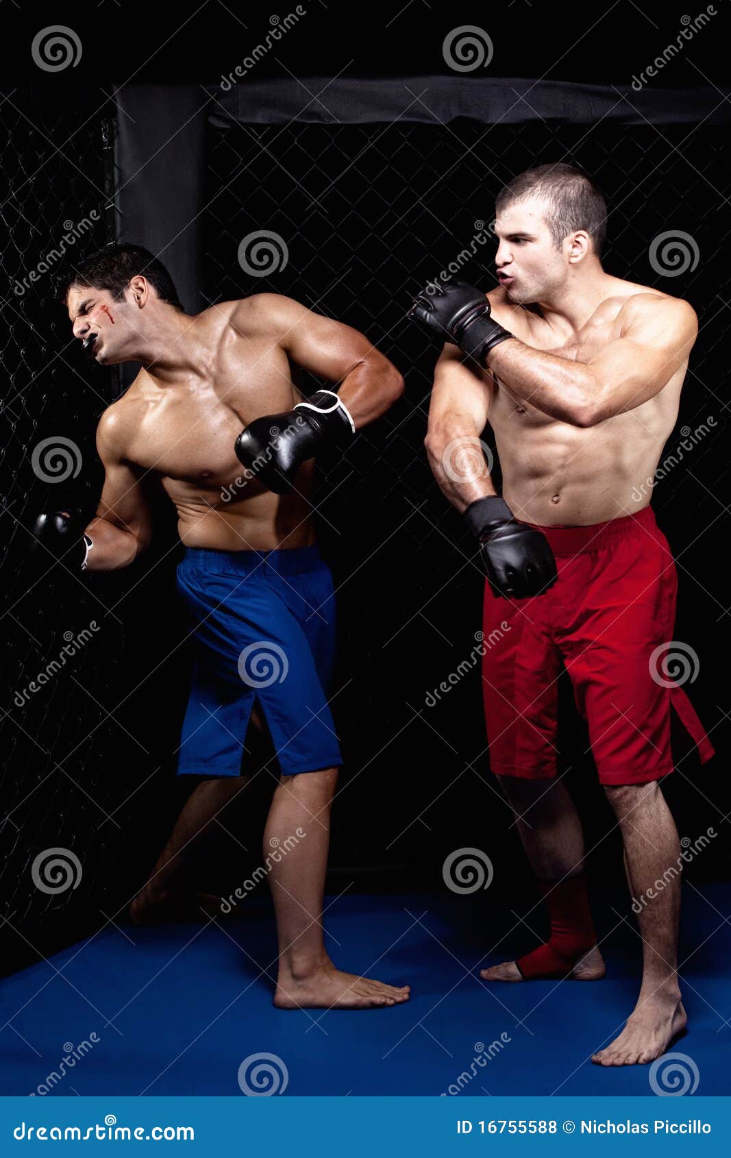 MMA stock photo. Image of standing, fighting, sports - 16755588