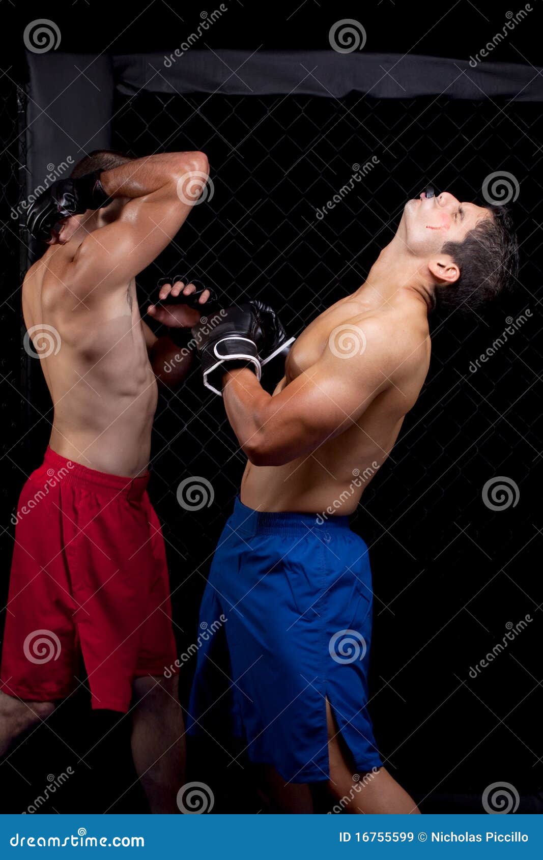 MMA stock image. Image of athletic, adult, arts, fighting - 16755599
