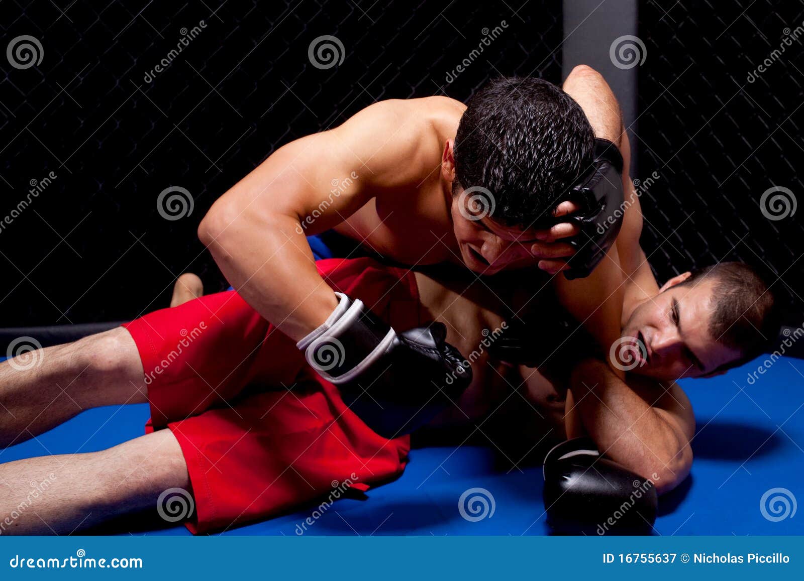 MMA stock image. Image of artist, grappling, sports, athlete - 16755637