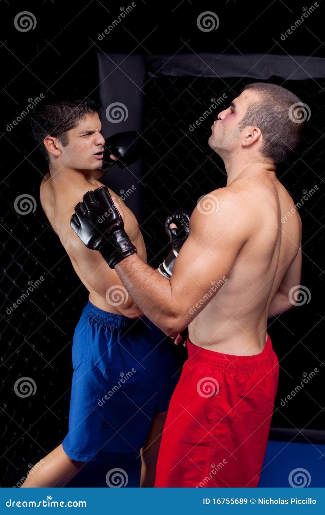 MMA stock image. Image of fighter, fighting, mixed, fight - 16755689