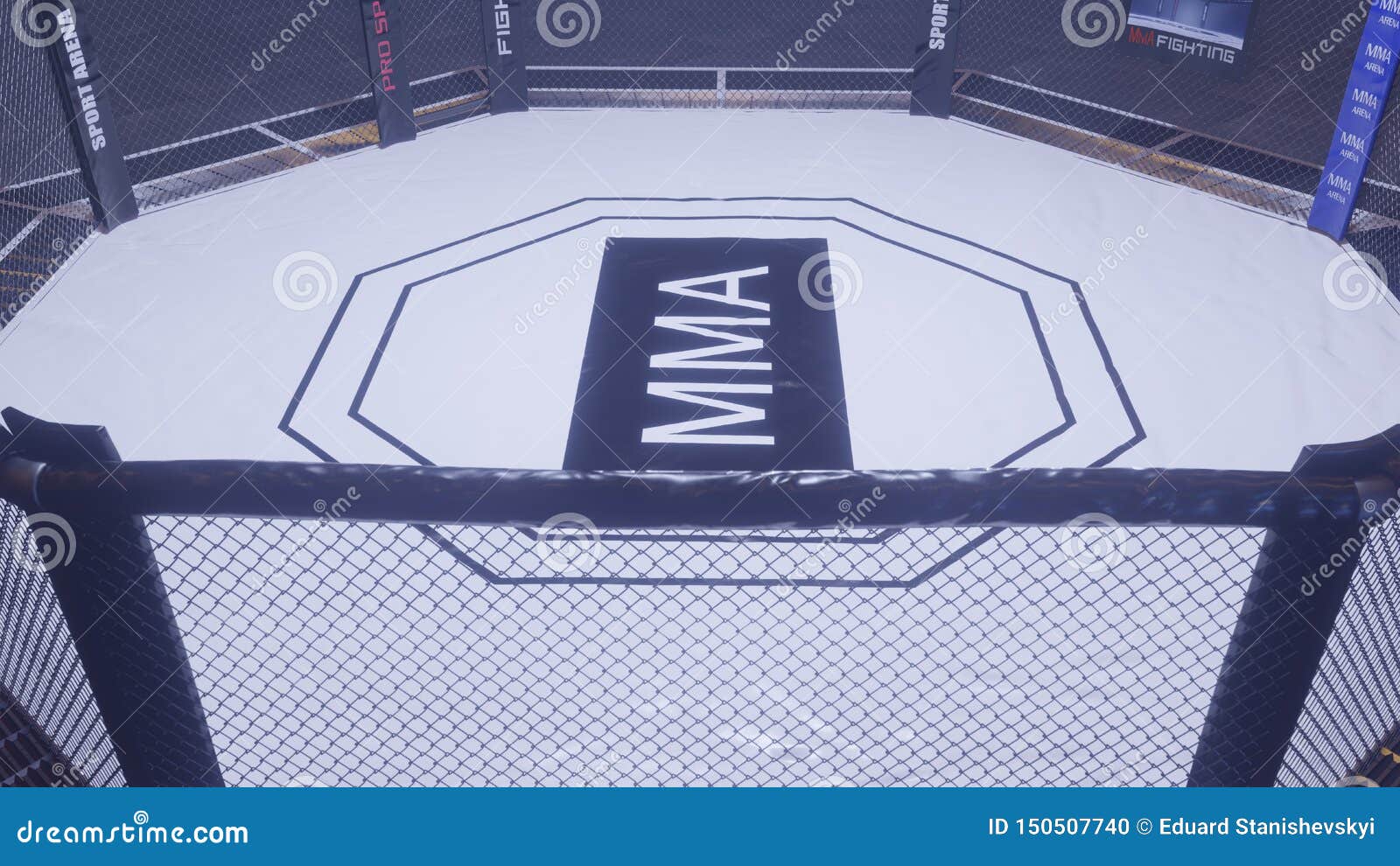 Ufc Octagon Empty
