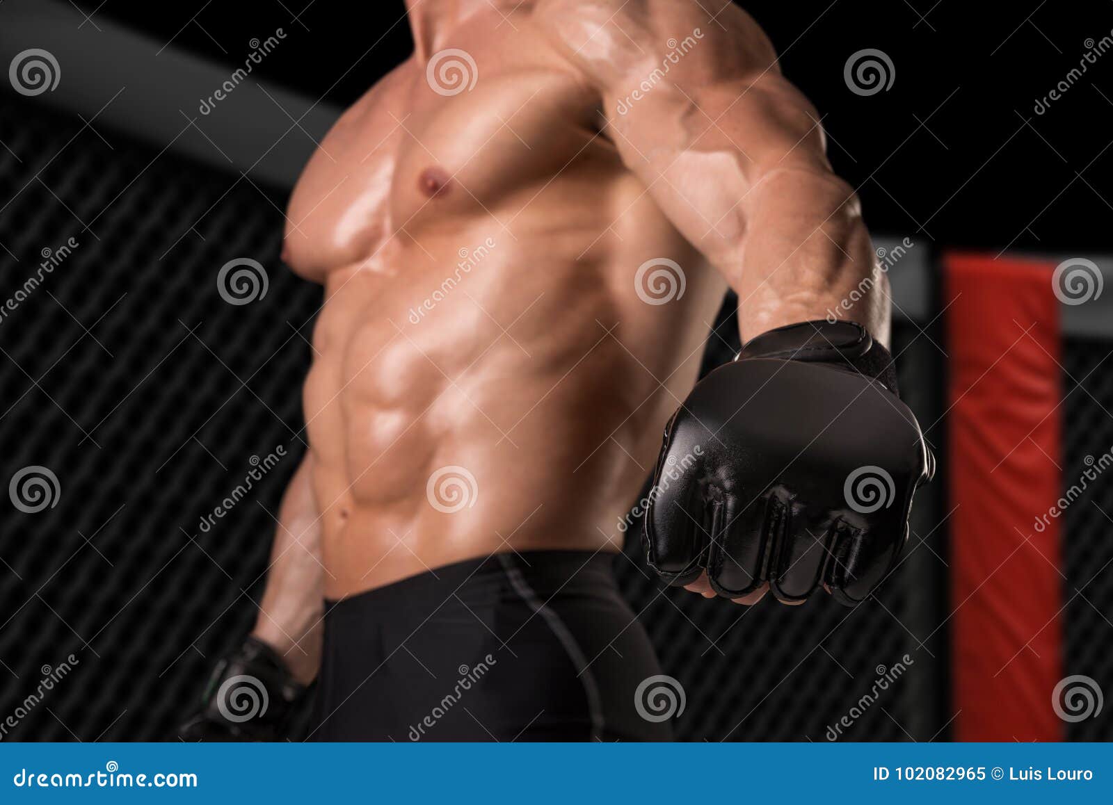 MMA athlete stock image. Image of fight, body, combat - 102082965