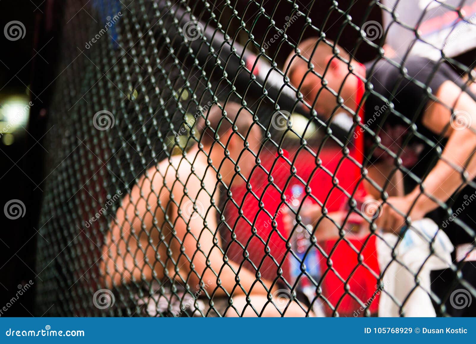 MMA Boxers Fighters Fight in Fights without Rules in the Ring O ...