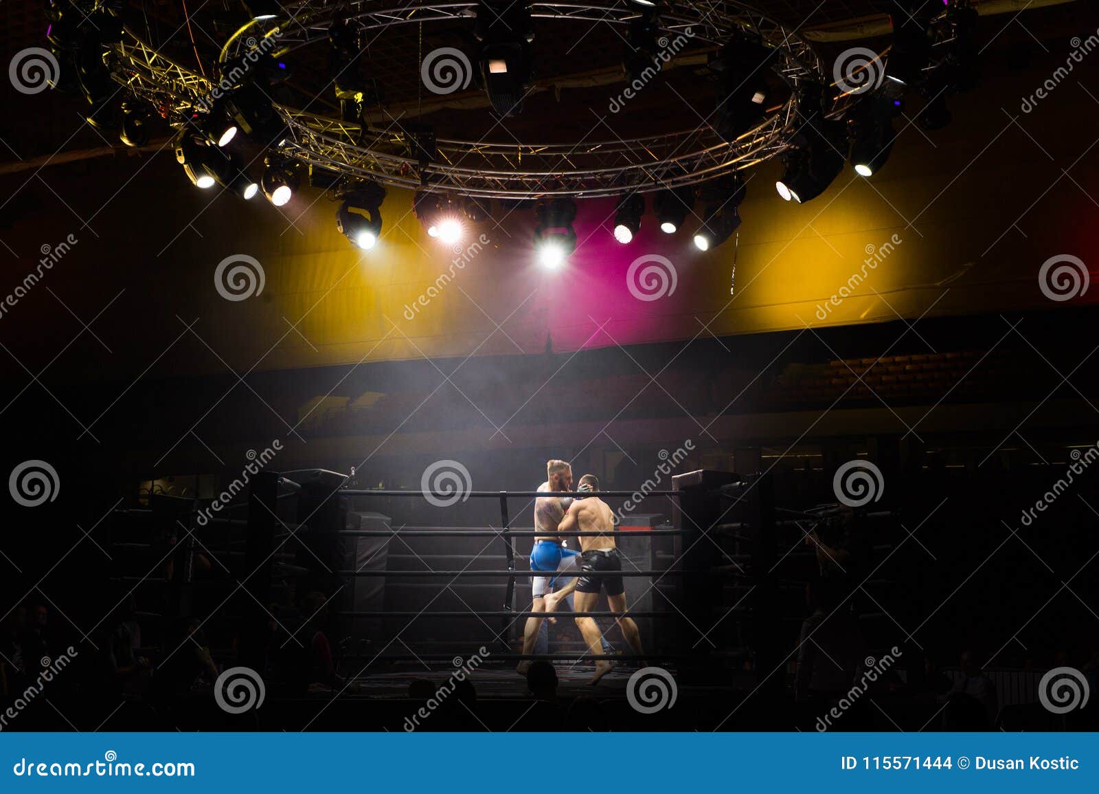 MMA Boxers Fighters Fight In Fights Without Rules In The Ring Editorial ...