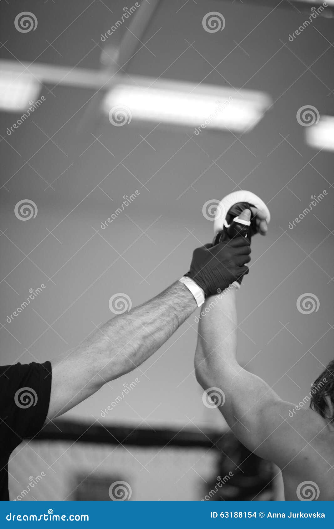 MMA champion stock photo. Image of muscular, conflict - 63188154