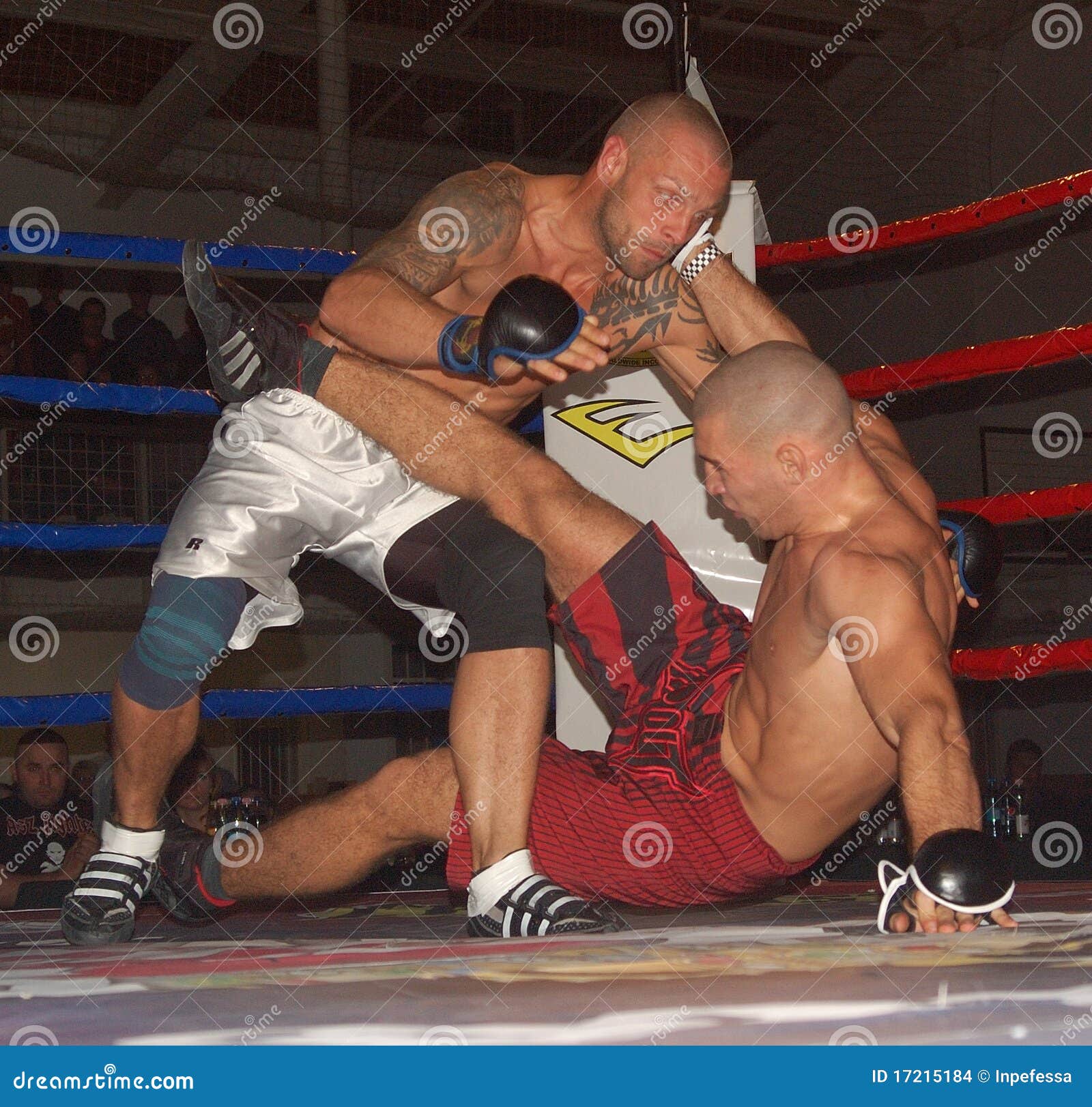 MMA fight editorial stock image. Image of grappling, atletic - 17215184