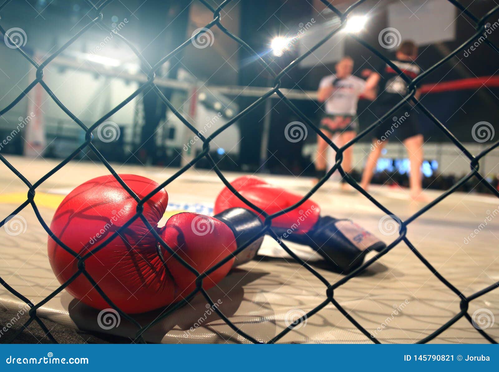 MMA fight scene stock image. Image of muscular, body - 145790821