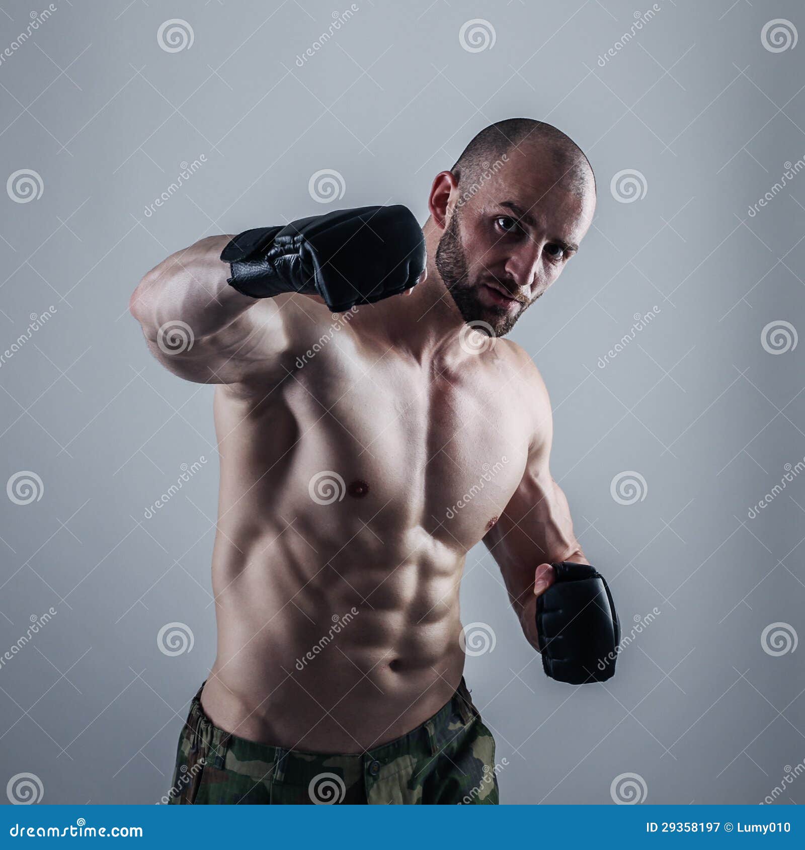 MMA Fighter stock image. Image of chest, body, martial - 29358197