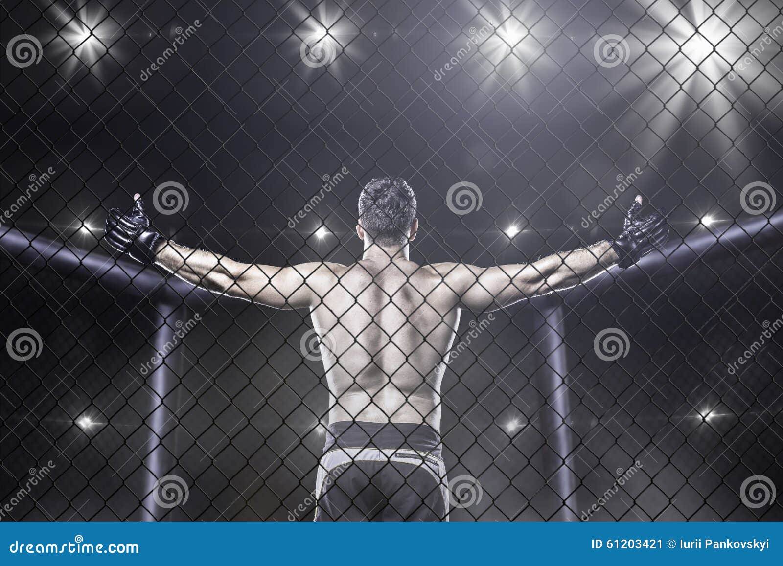 Mma Fighter in Arena Celebrating Win, Behind View Stock Image - Image ...