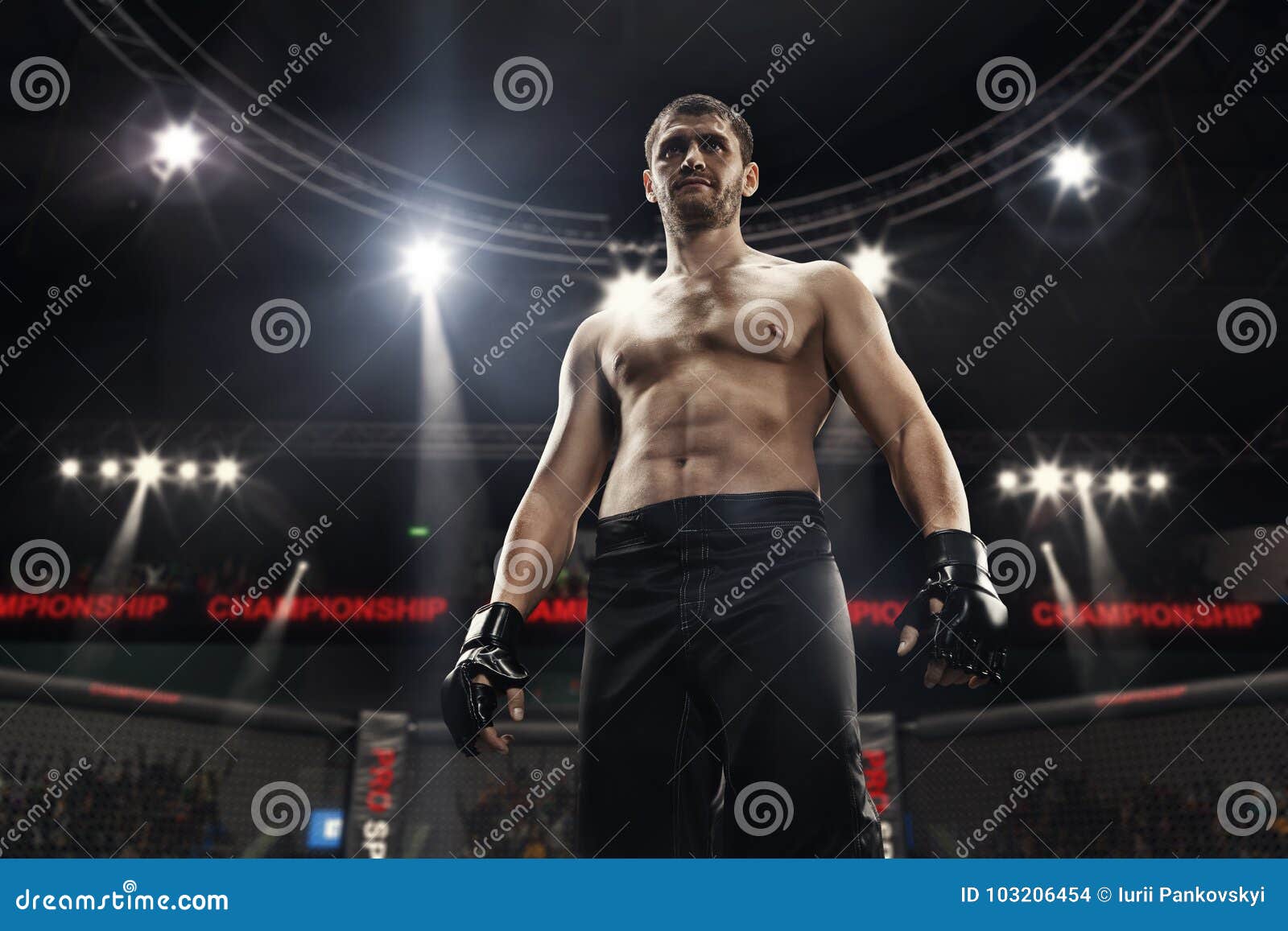 Mma Fighter in Fighiting Stage Close Up Stock Photo - Image of respect ...