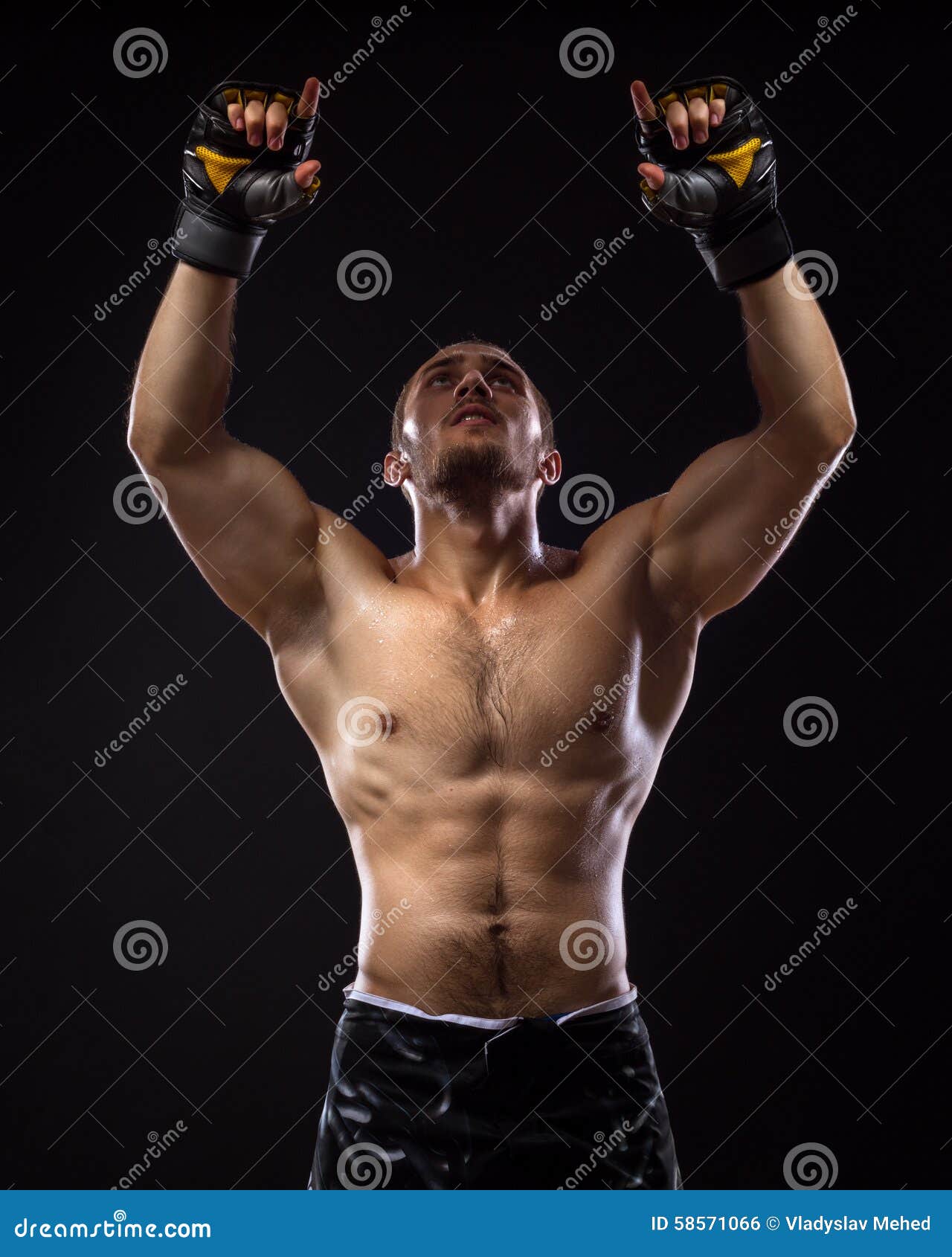 MMA Fighter stock photo. Image of males, masculinity - 58571066
