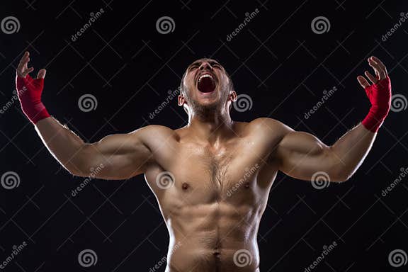 MMA Fighter stock photo. Image of males, beautiful, looking - 58571632