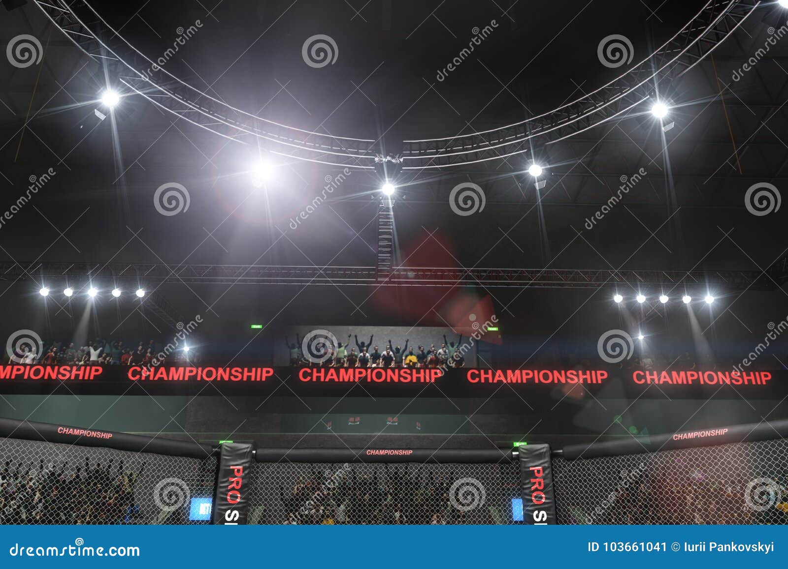 Mma Fighting Stage Side View Under Lights Stock Image - Image of ...