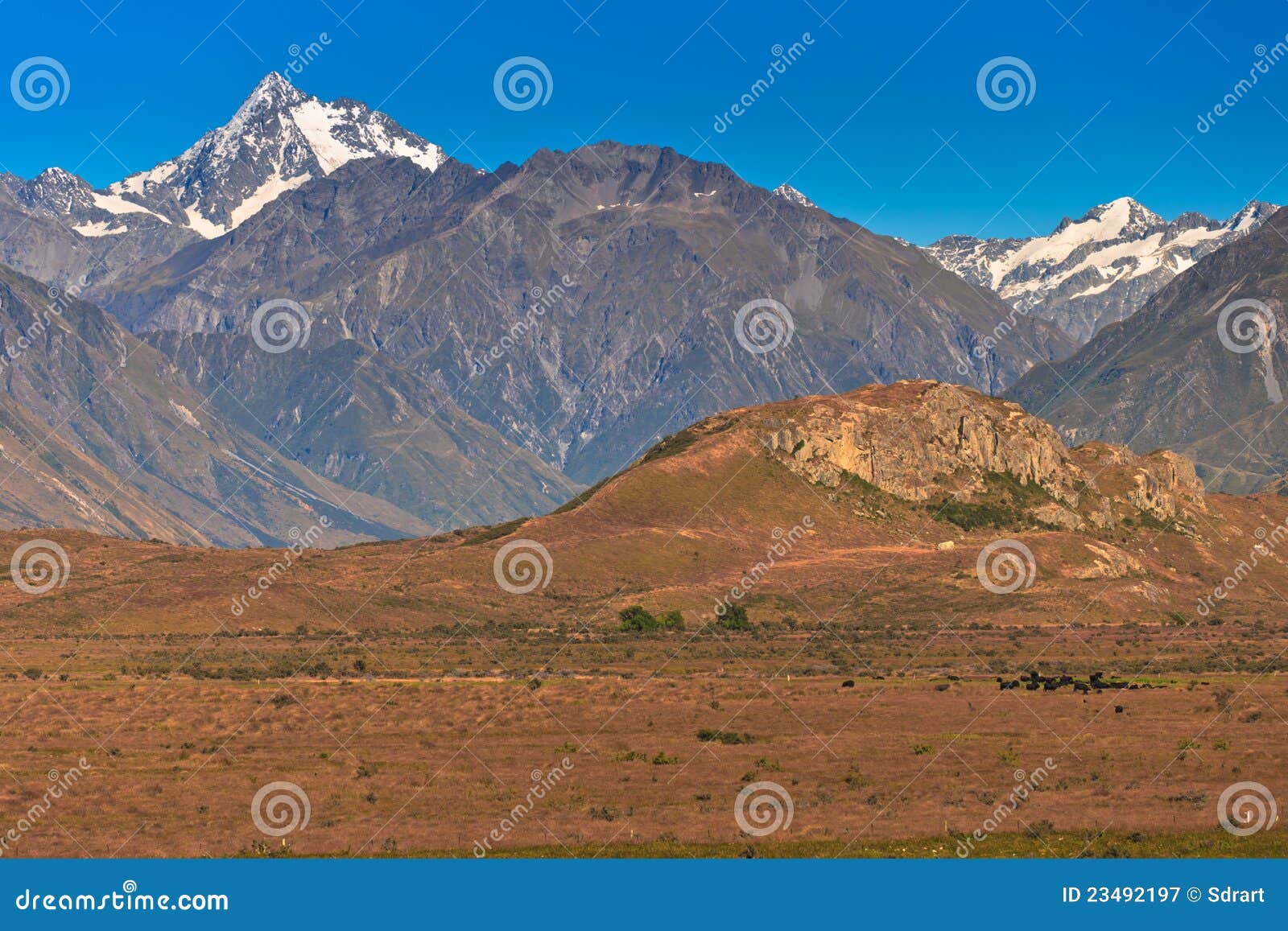 MNT domingo imagen de archivo. Imagen de zelandia, nieve - 23492197