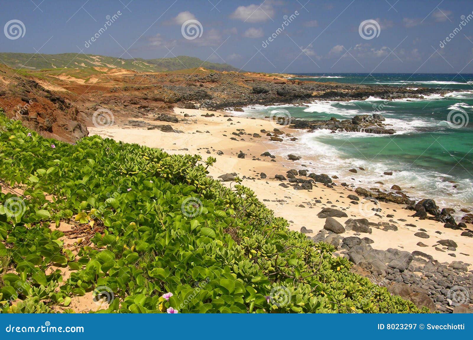 Mo omomi Beach, Molokai stock image. Image of hawaiian - 8023297